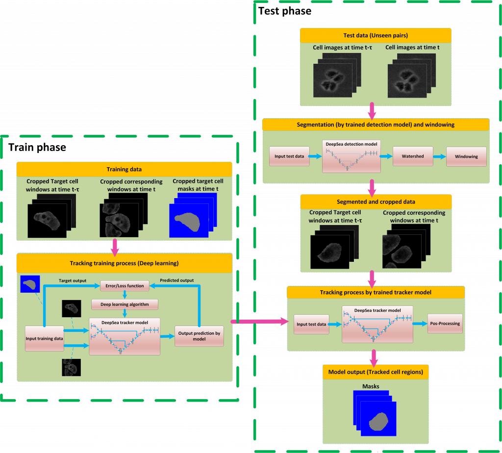 DeepSea Model - DeepSeas