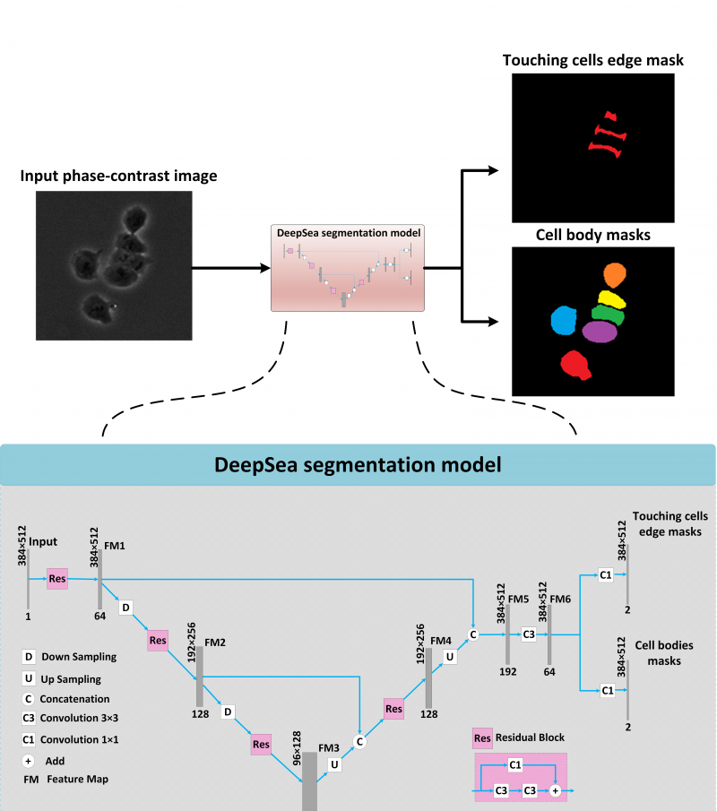 DeepSea Model - DeepSeas